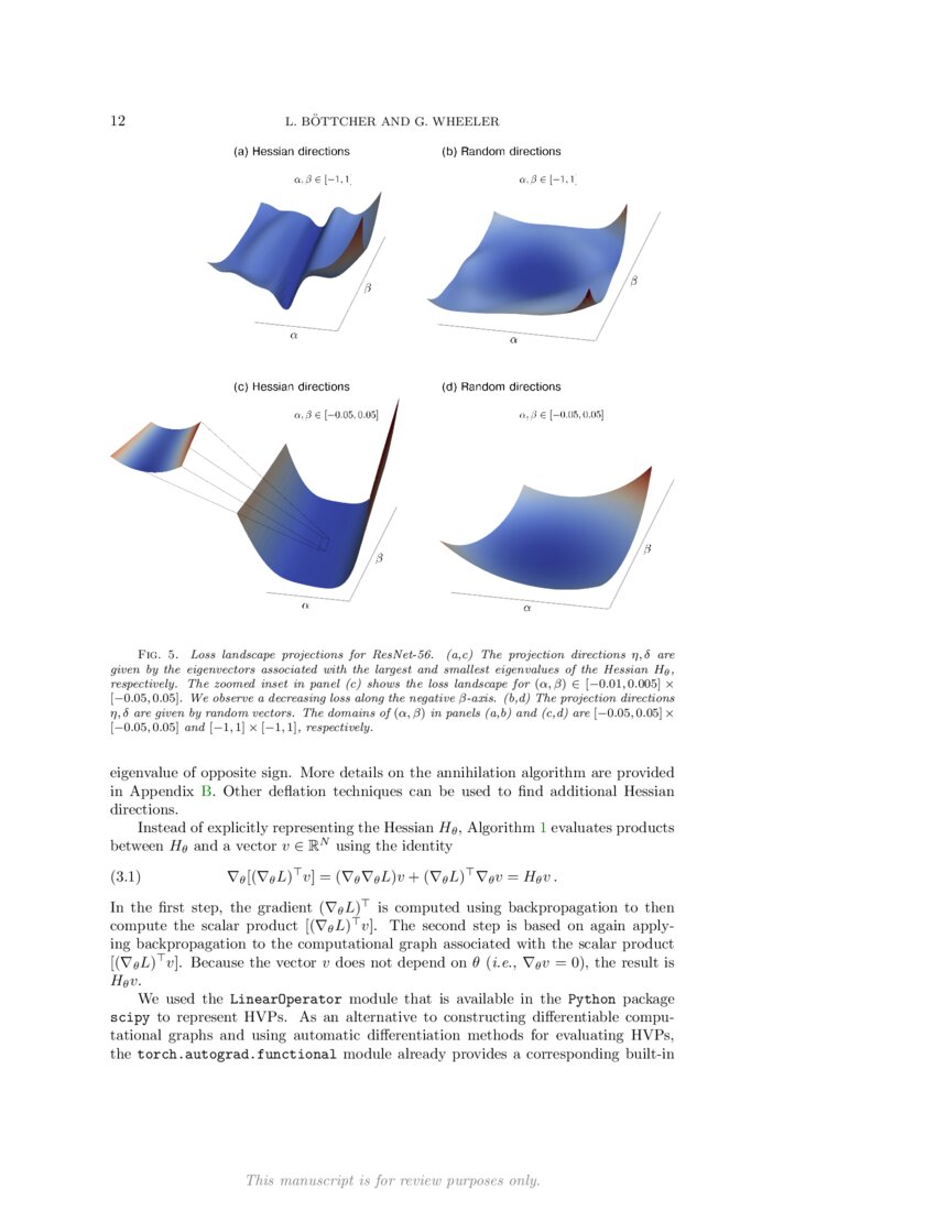 Visualizing High Dimensional Loss Landscapes With Hessian Directions