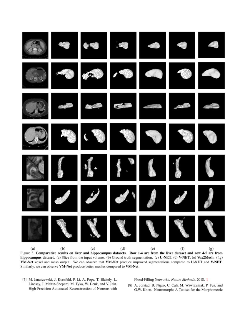 VM-Net: Mesh Modeling to Assist Segmentation in Volumetric Data | DeepAI