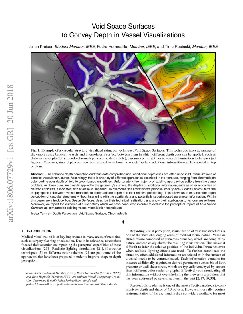 Void Space Surfaces to Convey Depth in Vessel Visualizations | DeepAI
