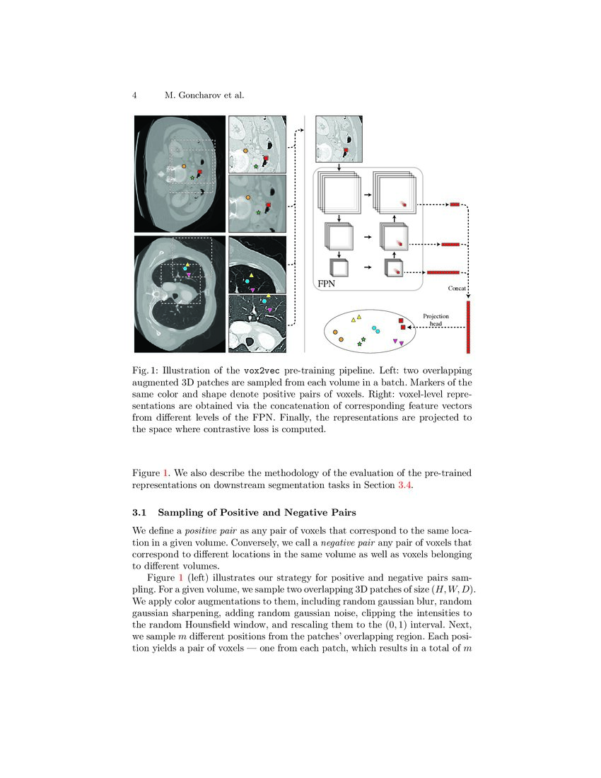 Vox2vec A Framework For Self Supervised Contrastive Learning Of Voxel Level Representations In 