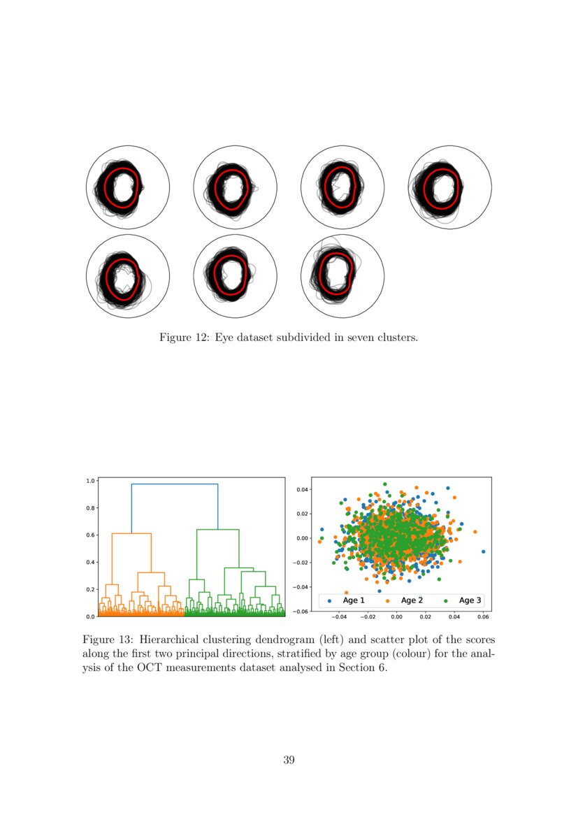 Wasserstein Principal Component Analysis for Circular Measures | DeepAI