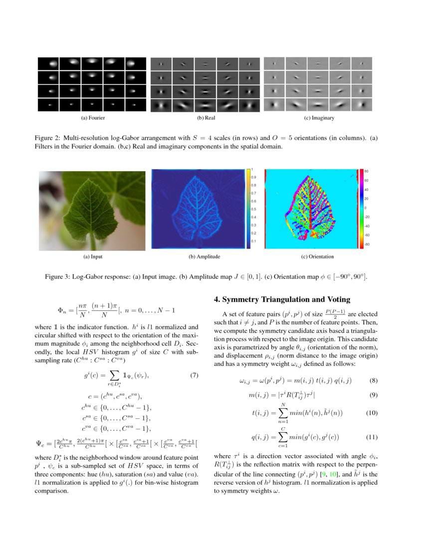 Wavelet Based Reflection Symmetry Detection Via Textural And Color Histograms Deepai
