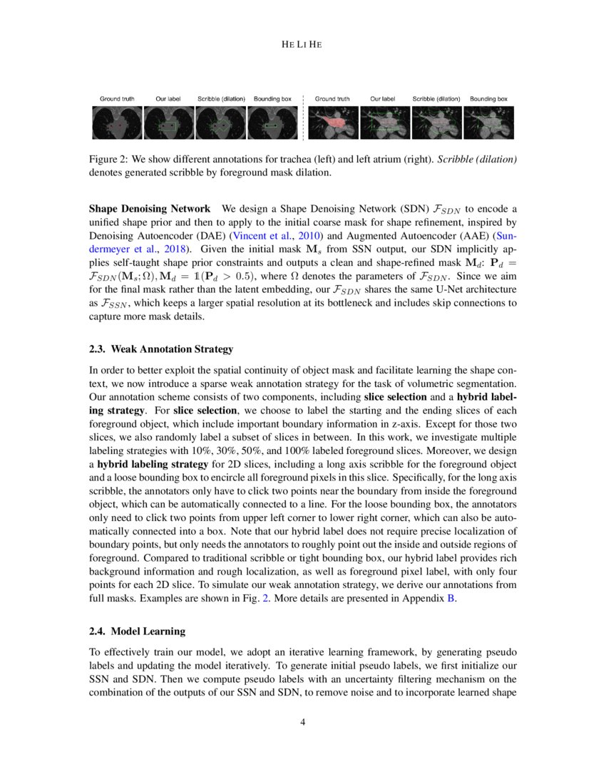 Weakly Supervised Volumetric Segmentation via Self-taught Shape Denoising Model | DeepAI