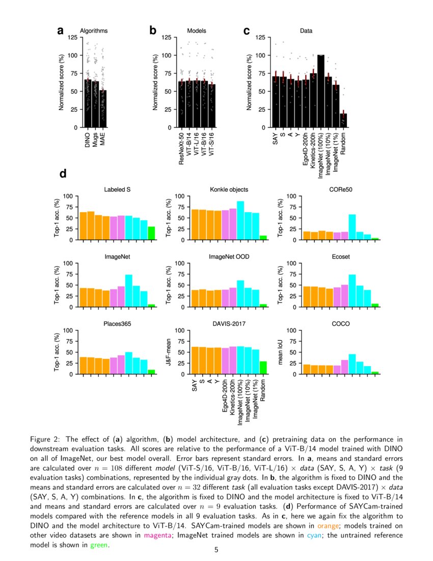 What can generic neural networks learn from a child's visual experience ...