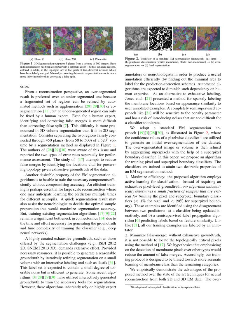 What Properties Are Desirable From An Electron Microscopy Segmentation Algorithm Deepai