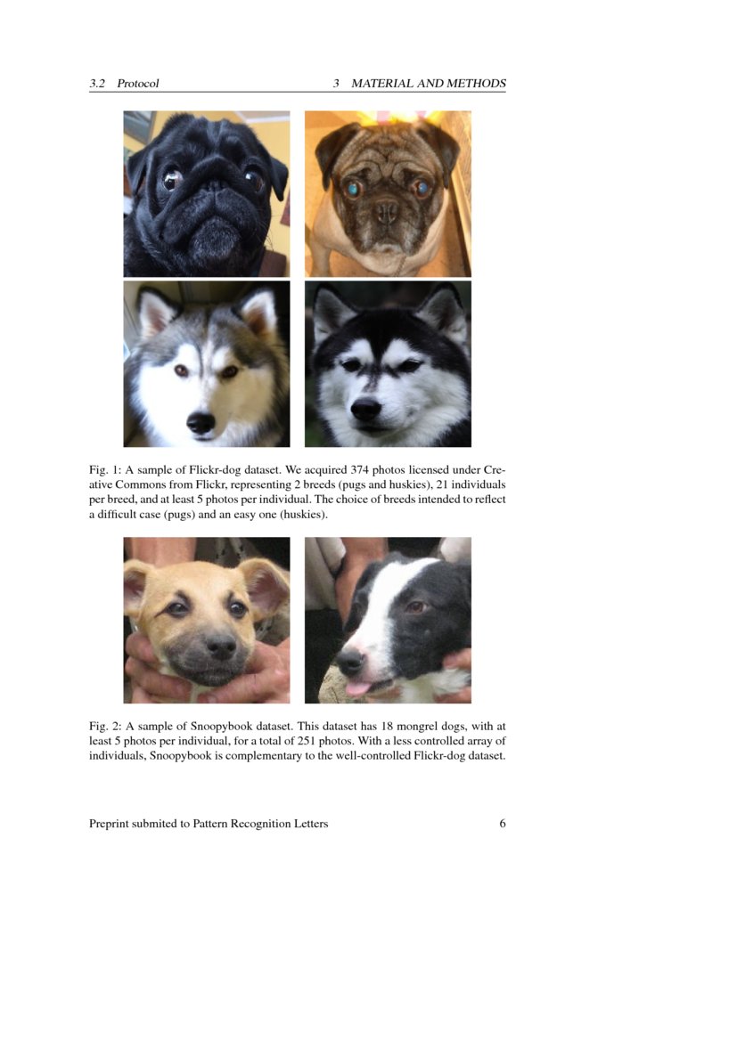 Where Is My Puppy? Retrieving Lost Dogs by Facial Features | DeepAI