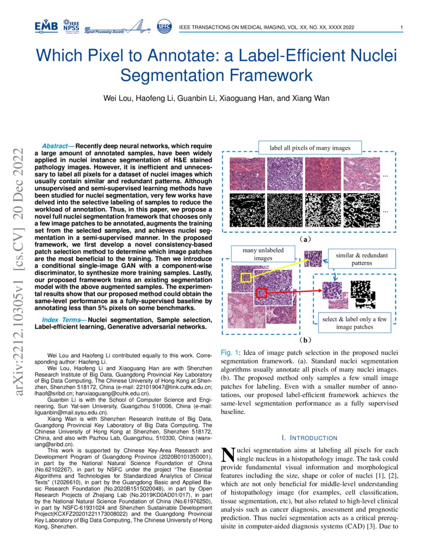 Which Pixel To Annotate A Label Efficient Nuclei Segmentation