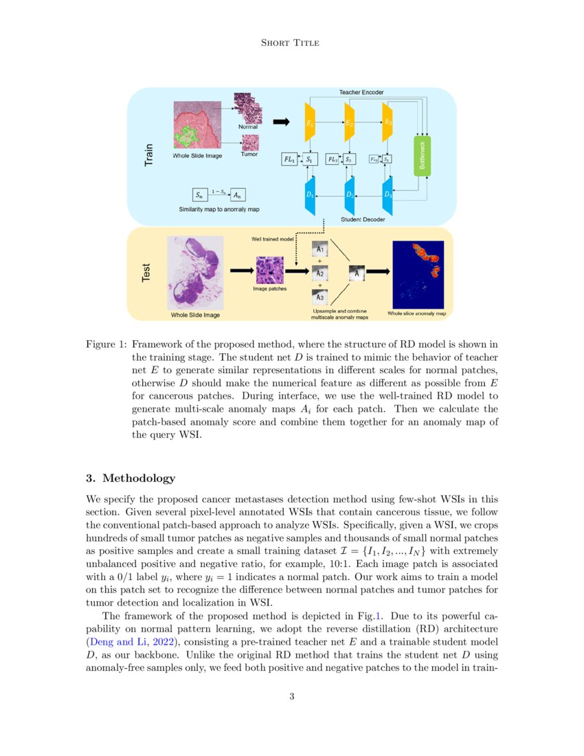 Whole-slide-imaging Cancer Metastases Detection and Localization with Limited Tumorous Data | DeepAI