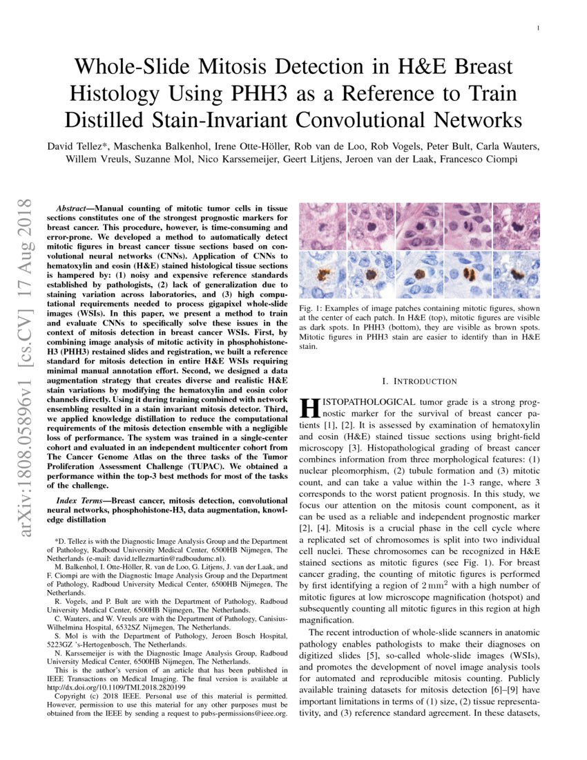 Whole Slide Mitosis Detection In Hande Breast Histology Using Phh3 As A Reference To Train