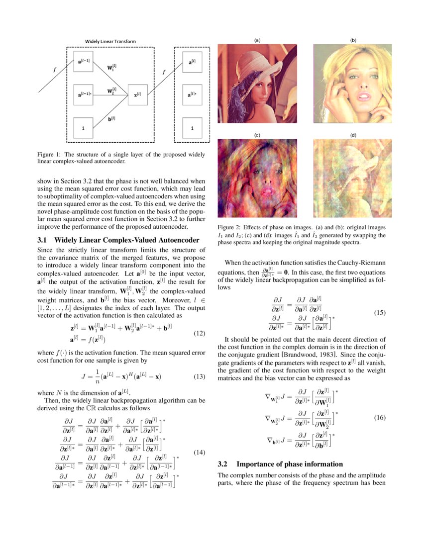 Widely Linear Complex-valued Autoencoder: Dealing with Noncircularity in Generative ...