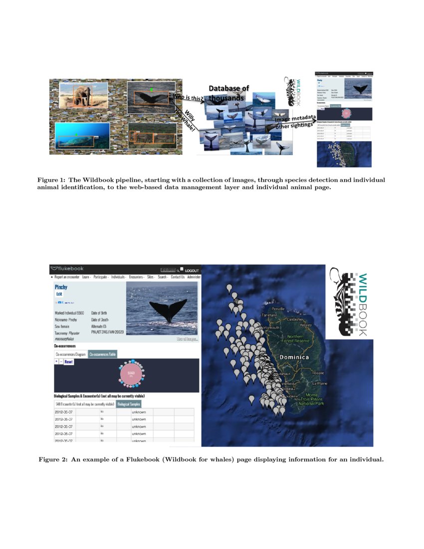 Wildbook: Crowdsourcing, computer vision, and data science for ...