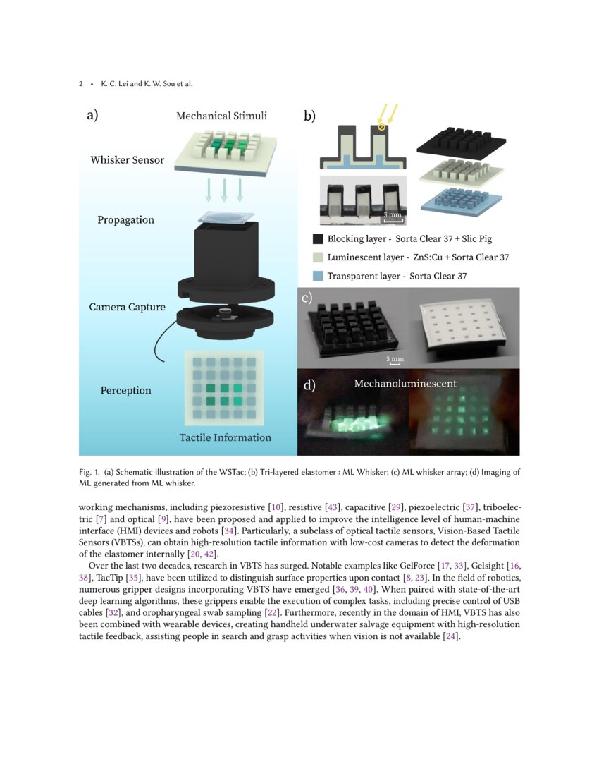 WSTac: Interactive Surface Perception based on Whisker-Inspired and Self-Illuminated Vision ...