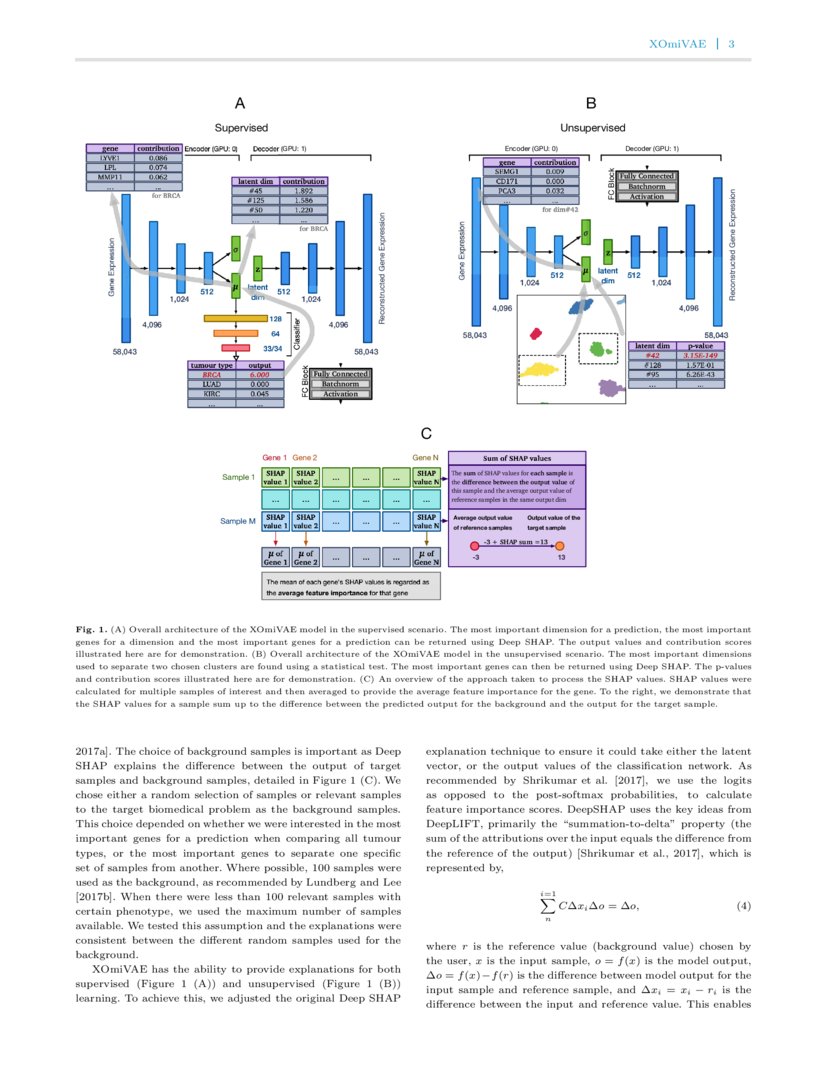 XOmiVAE: an interpretable deep learning model for cancer classification using high-dimensional ...