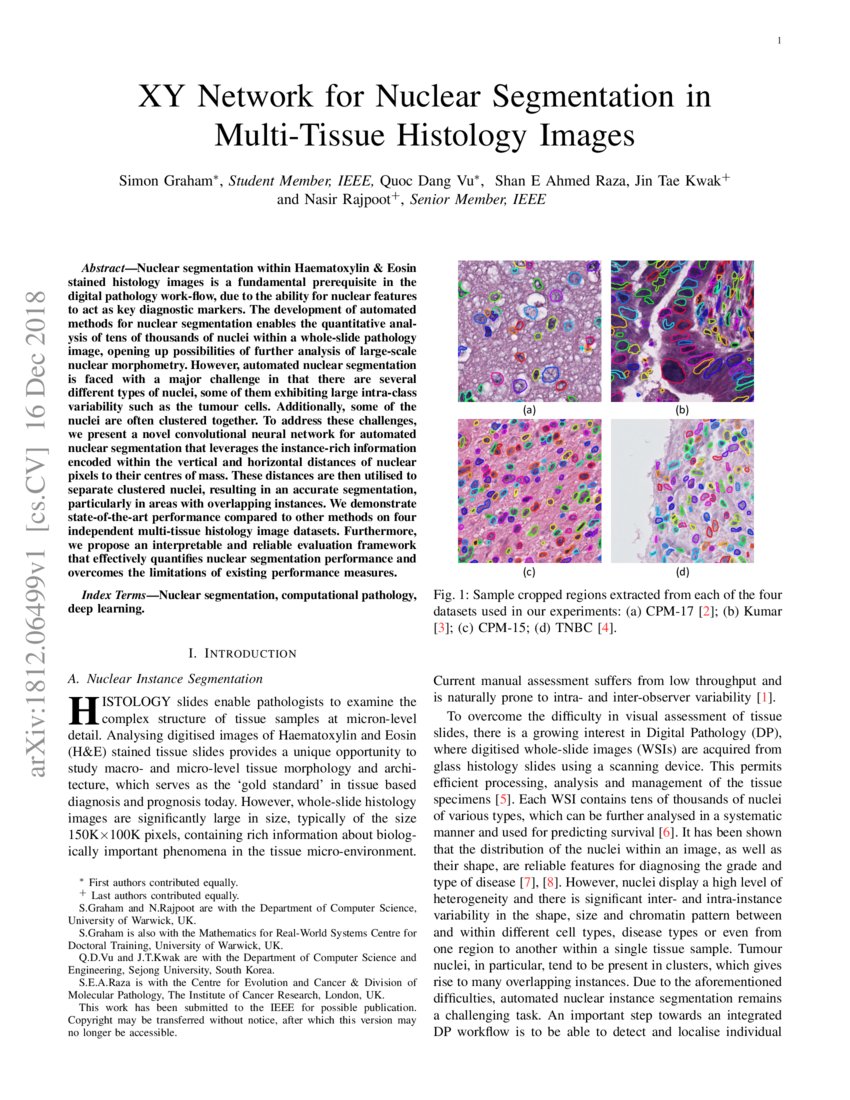 XY Network for Nuclear Segmentation in Multi-Tissue Histology Images | DeepAI