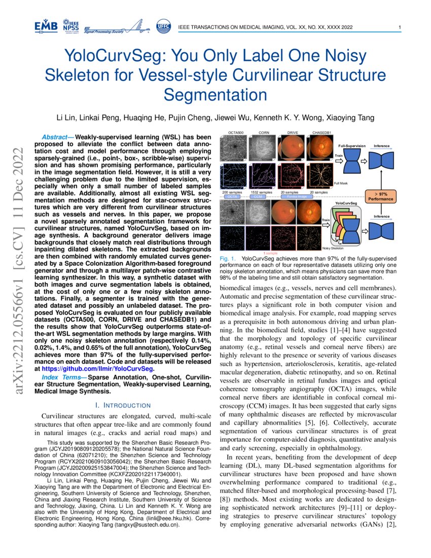 YoloCurvSeg: You Only Label One Noisy Skeleton for Vessel-style Curvilinear Structure ...